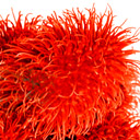 fluffy Lychees (@fluffyLychees) on Flipboard